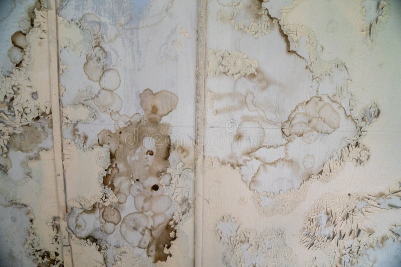 Damaged, Peeling Paint with Water and Rust Spots on the Wall, Useful ...