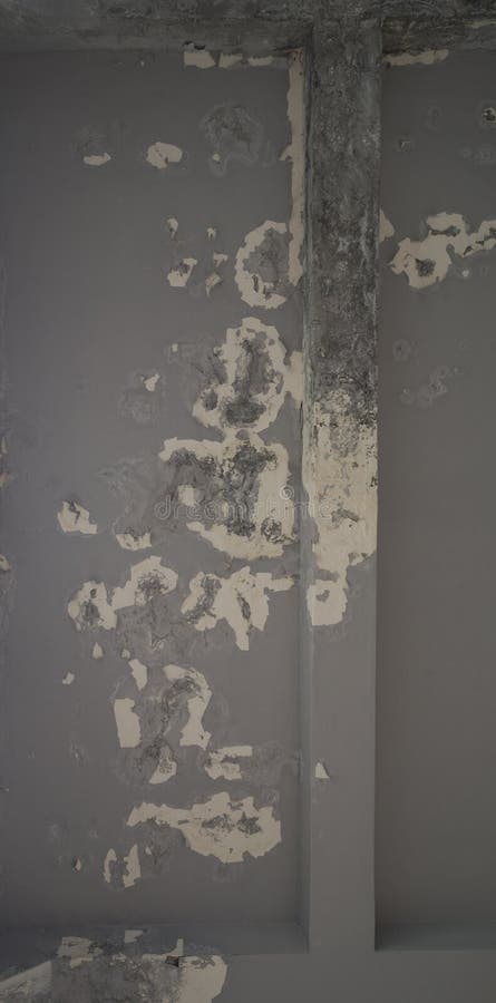 Damaged Plaster Texture, Cracked Texture with Fine Detail High ...