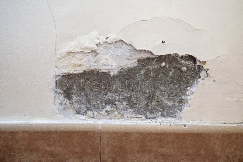 Damaged Plaster on Wall Indoors Close Up Stock Photo - Image of ...