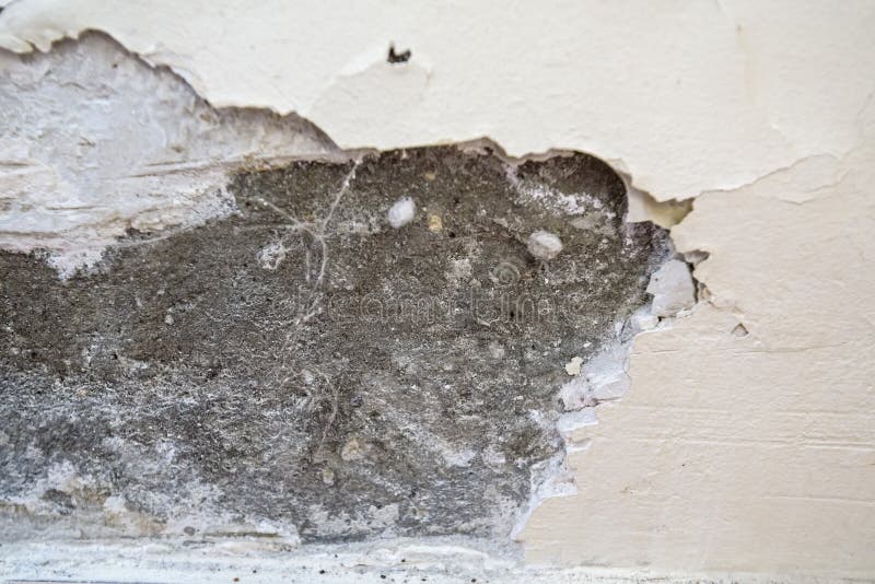 Damaged Plaster on Wall Indoors Close Up Stock Photo - Image of indoors ...