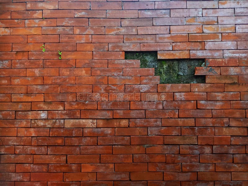 Damaged Red Brick Wall with Exposed Concrete and Moss Stock Image ...