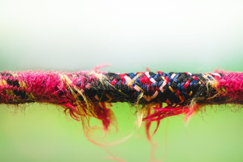 Damaged rope. stock photo. Image of cord, background - 154704346