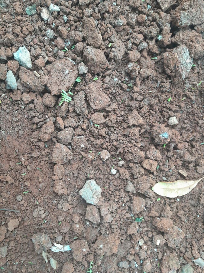 Damaged Soil Accompanied by Rock-like Shapes As Additional Variations ...