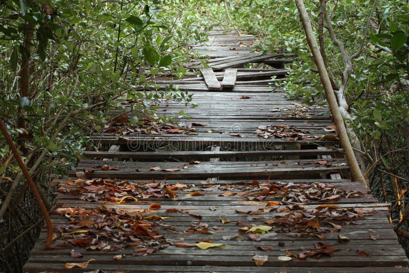 Damaged walking path stock photo. Image of adventure - 111320912