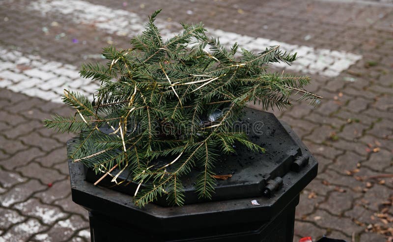 Damaged Waste Bin after the New Year Night Celebration Stock Photo ...