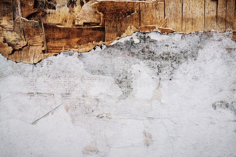 Damaged white paper stock image. Image of rough, paper - 169273123