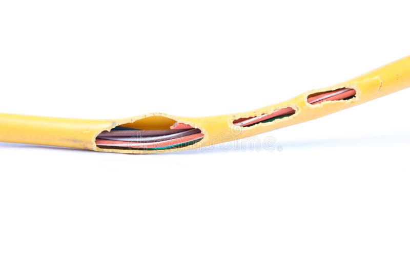 Damaged Wired LAN Cable stock image. Image of damaged - 63631729