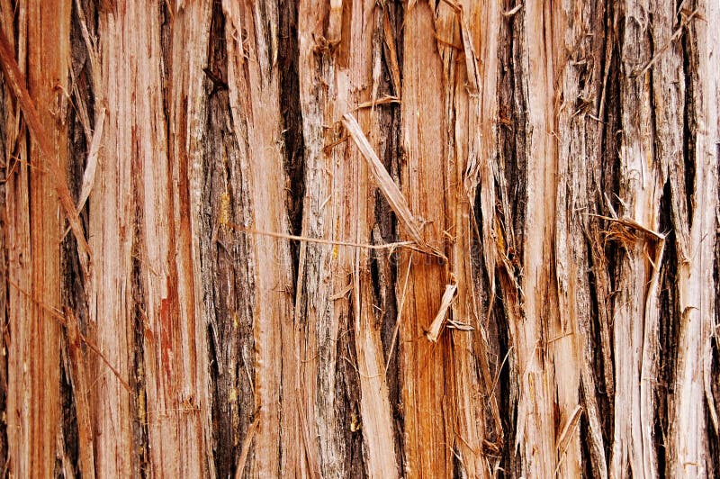 44,427 Damaged Wood Texture Stock Photos - Free & Royalty-Free Stock ...