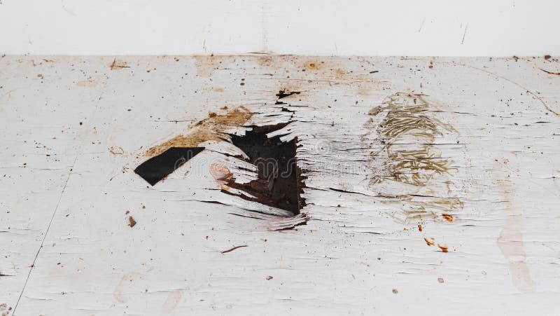 Damaged Wooden Furniture, Home Problems Stock Image - Image of dirty ...