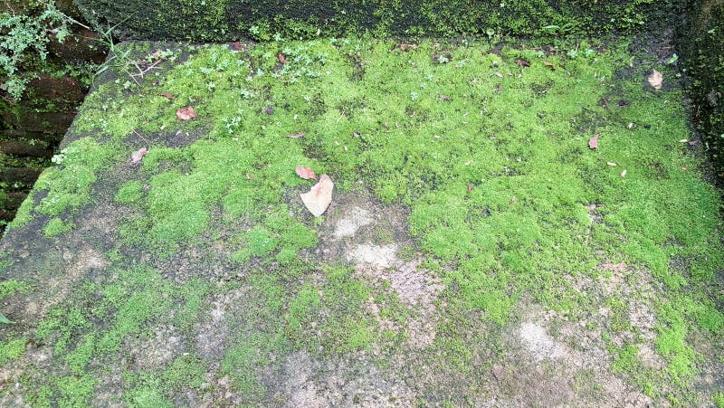 212 Concrete Mold Structures Stock Photos - Free & Royalty-Free Stock ...