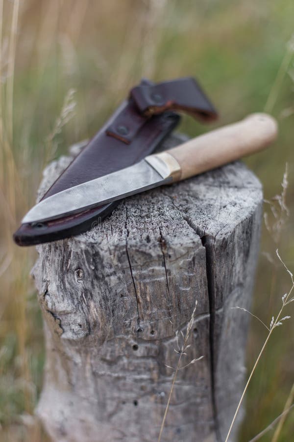 Damascus Steel Knife on Log Stock Image - Image of damascus, close ...