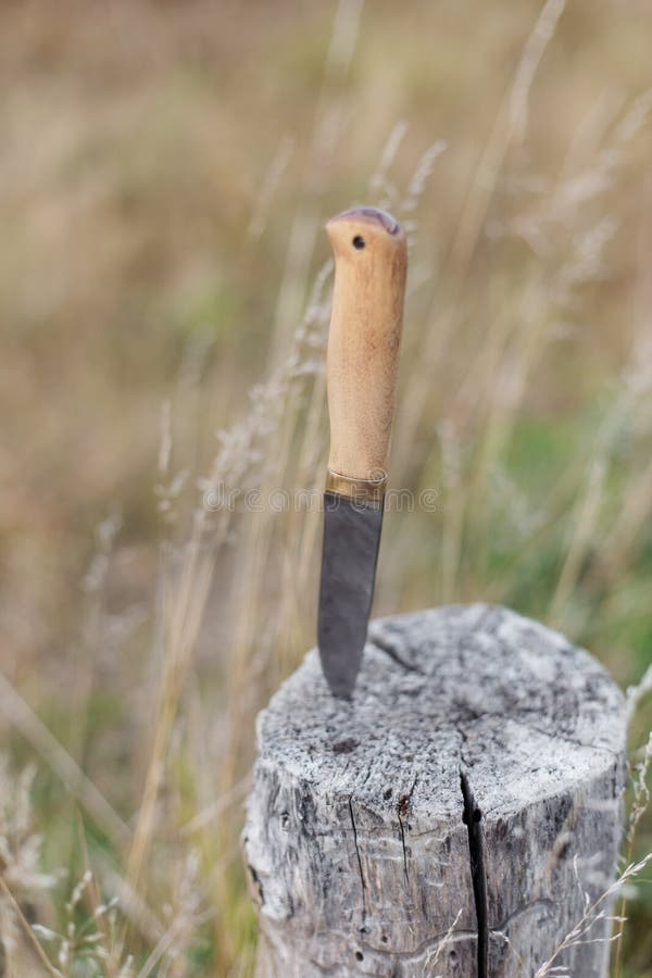 Damascus Steel Knife on Log Stock Image - Image of razor, natural: 66503647