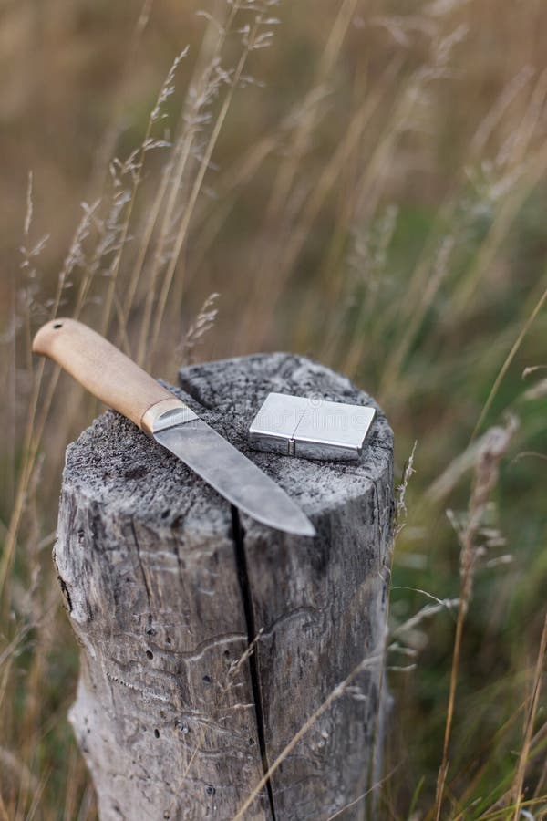 Damascus Steel Knife on Log Stock Photo - Image of moss, material: 66503686