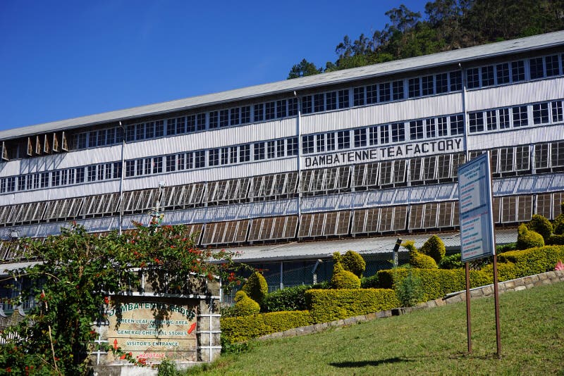 Dambatenne tea factory editorial stock image. Image of lanka - 84202894
