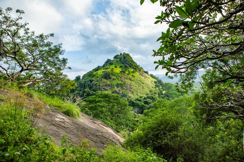 Dambulla is the Largest and Best-preserved Cave Temple Complex in Sri ...