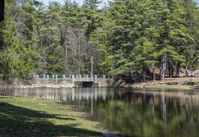 Damon pond on a spring day stock image. Image of nature - 391496371