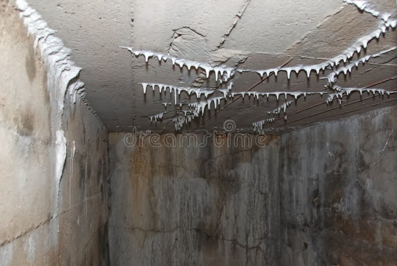 Damp Basement Bunker with Icicle Formations Stock Photo - Image of ...