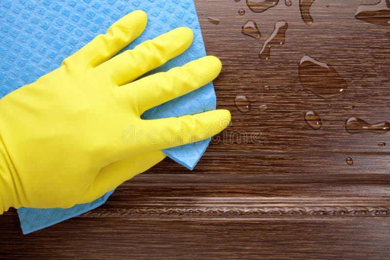Damp cleaning stock photo. Image of sanitation, disinfect - 14125578