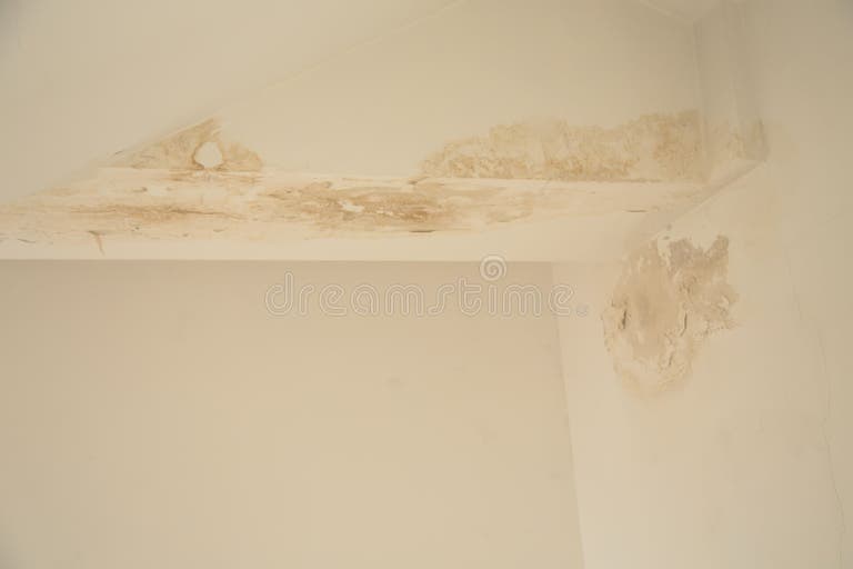 Damp falling plaster stock photo. Image of city, construction - 63836964