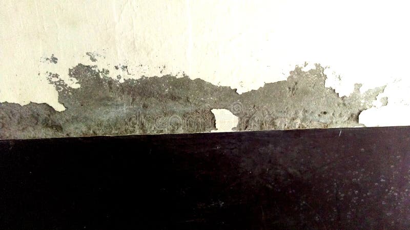 Damp Moisture Presence House Wall Stock Photo - Image of structural ...