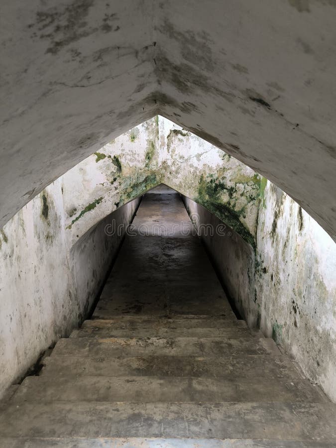 Damp, Mossy Tunnel with Descending Stairs and Triangular Vaulted ...
