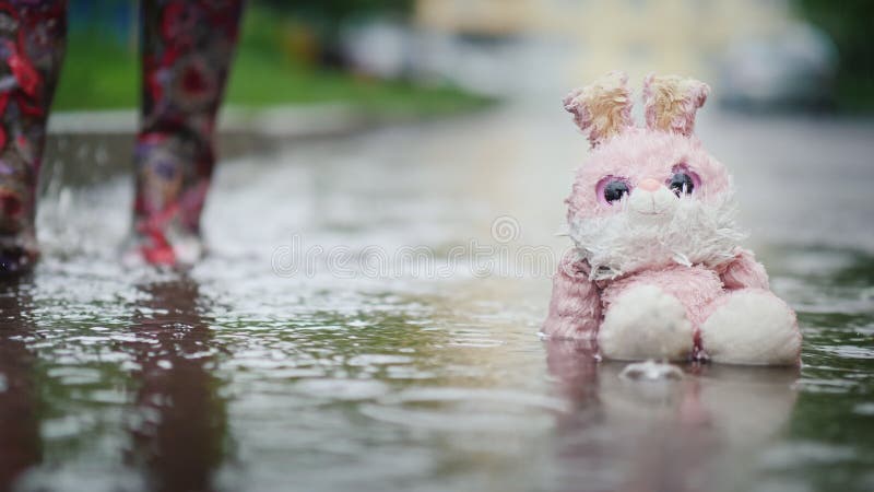A Damp, Plush Bunny is Sitting in a Puddle in the Rain. Passer Passes ...