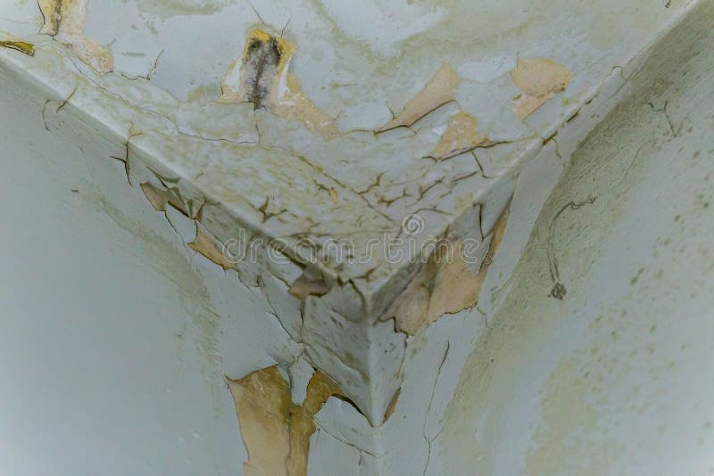 Damp Spots on a Ceiling Made of Beton, the Paint Has Been Worn Away ...