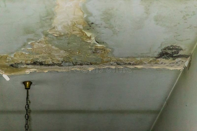 Damp spots stock photo. Image of concrete, water, house - 197306942