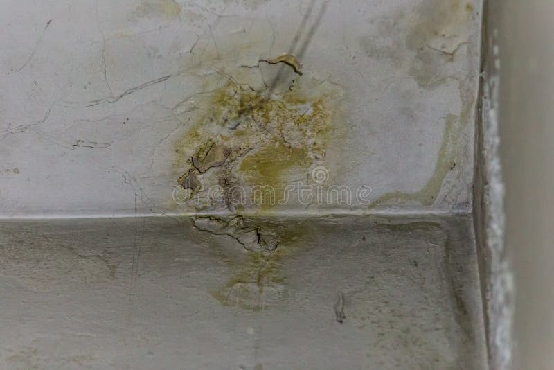 Damp Spots and Crack in Ceiling Stock Image - Image of damage ...