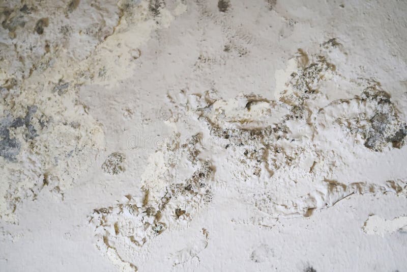 Damp Wall Texture Background Stock Image - Image of wall, peel: 93664977