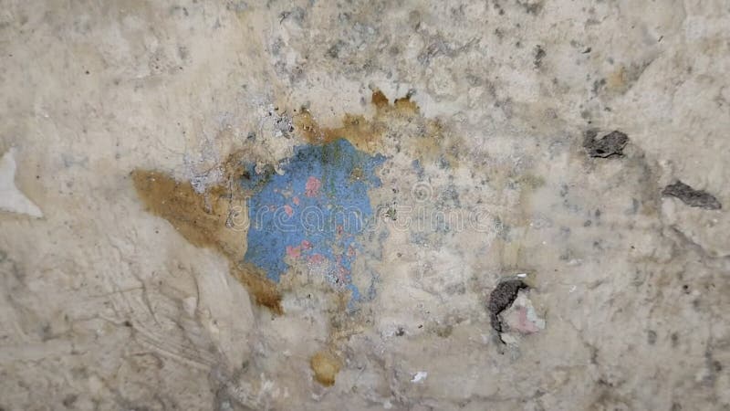 Damp walls stock video. Video of damaged, material, paint - 337633195