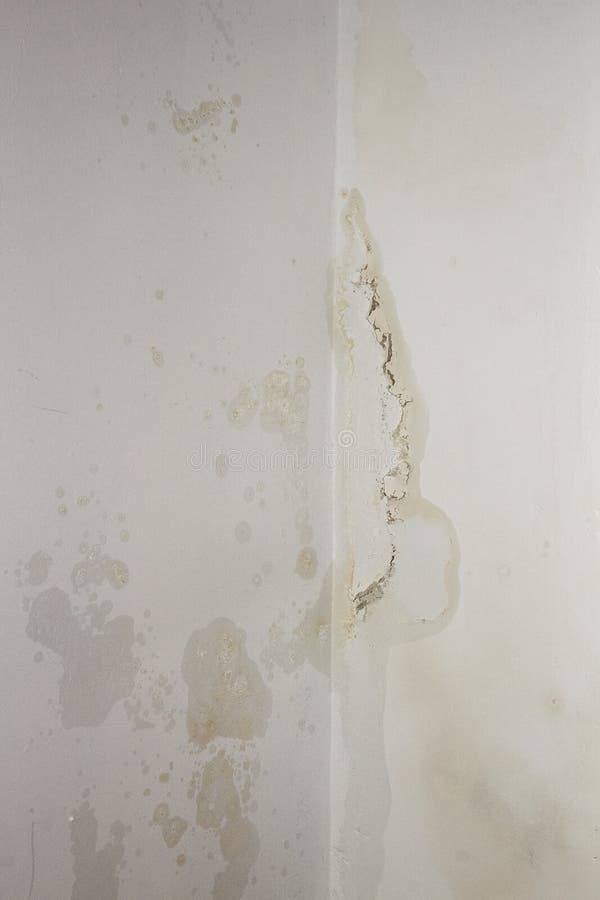 Damp and Water Ingress Coming through a House Wall Creating Problems ...