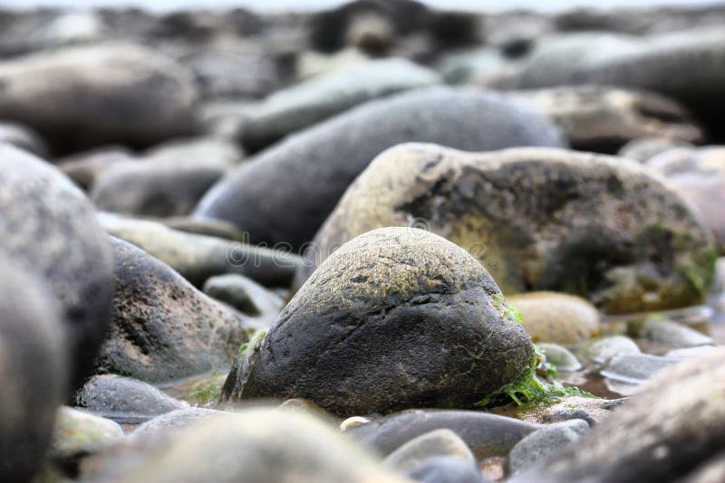 Damp Wet Stones on a Beach Background Stock Image - Image of damp, rock ...
