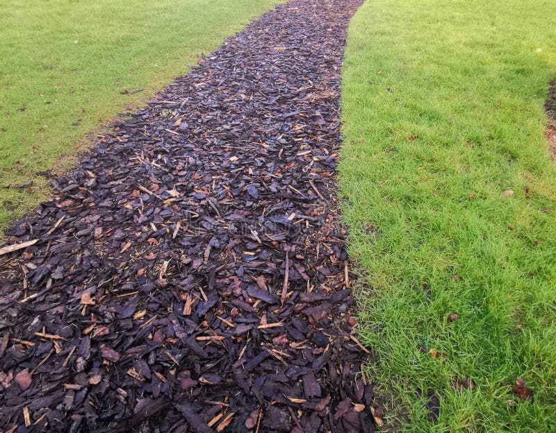 Damp Wood Chip Path and Grass Lawn Either Side with Copy Space Stock ...