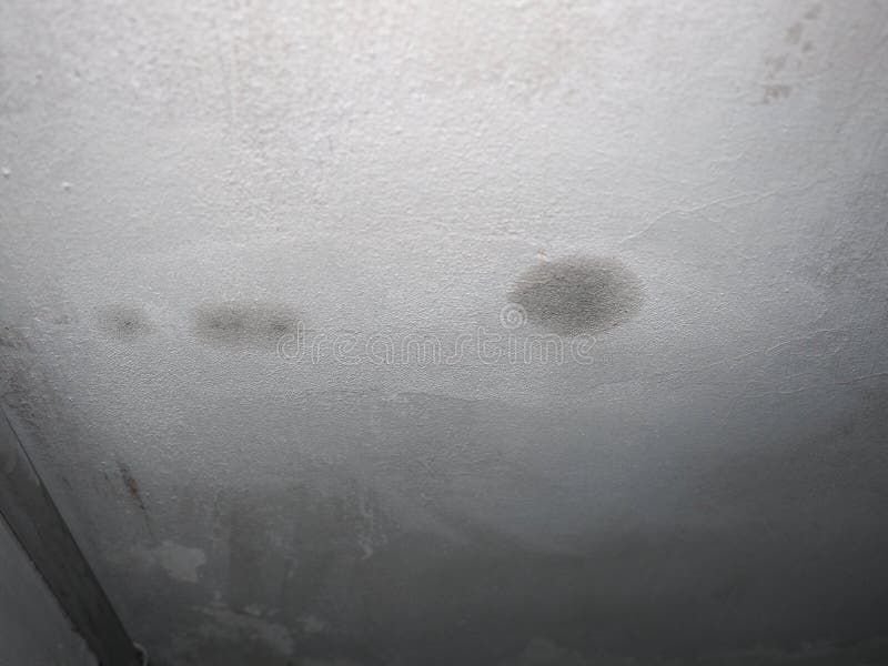 Dampness Moisture on Ceiling with Drops of Water Infiltration Stock ...