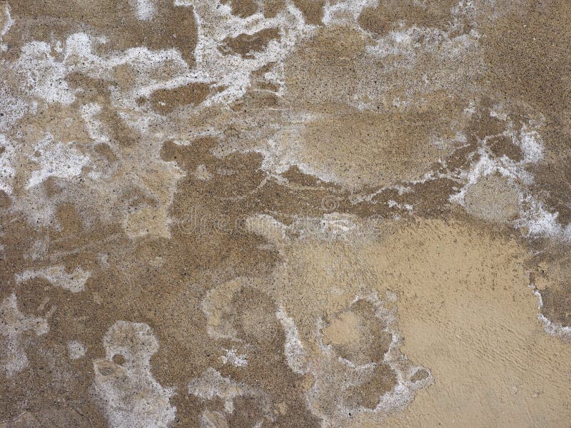 Dampness moisture on wall stock photo. Image of wetness - 107037086