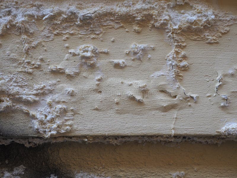 Dampness moisture on wall stock photo. Image of efflorescence - 247984924