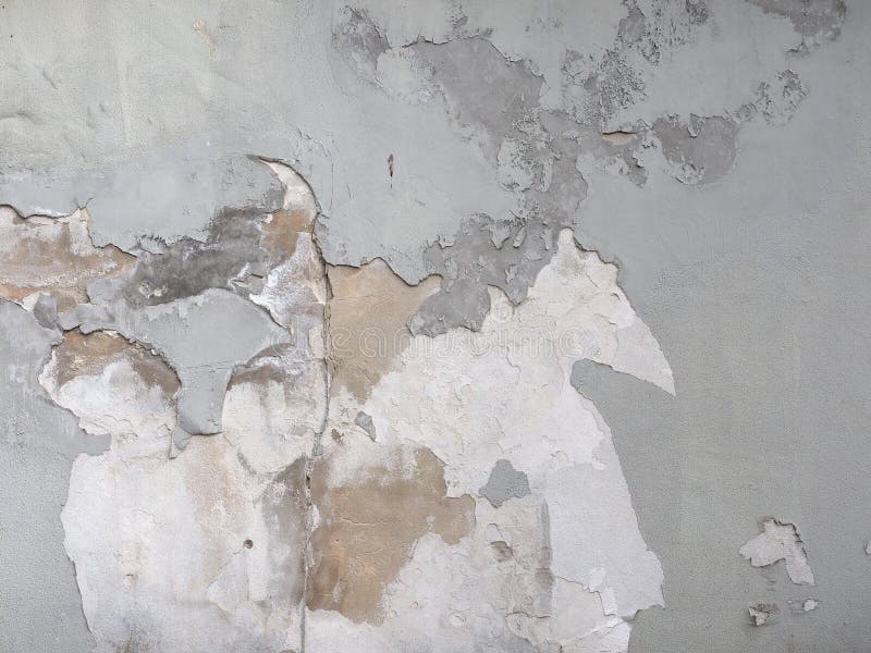 Dampness moisture on wall stock image. Image of dwelling - 250400923