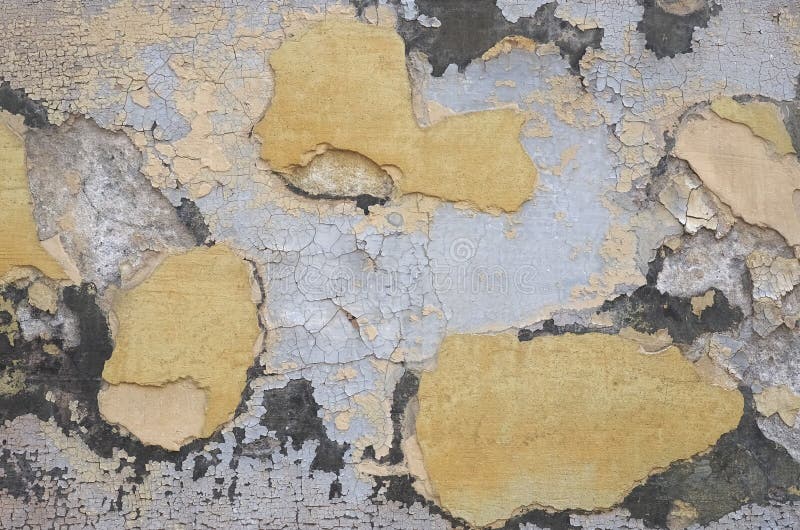 Dampness moisture on wall stock photo. Image of rainy - 258525972