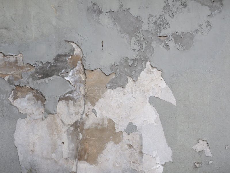 Dampness moisture on wall stock image. Image of mold - 264148255