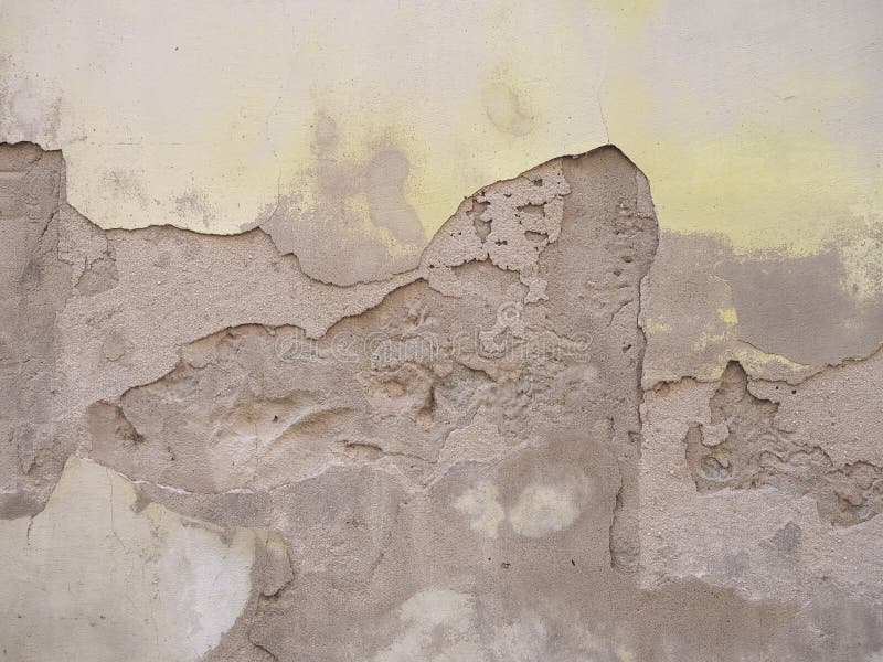 Dampness moisture on wall stock photo. Image of mould - 291534848