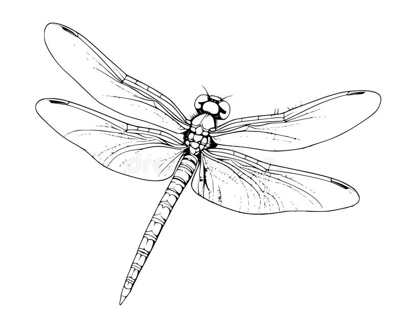 Damselfly Coloring Page for Kids Stock Vector - Illustration of namaste ...