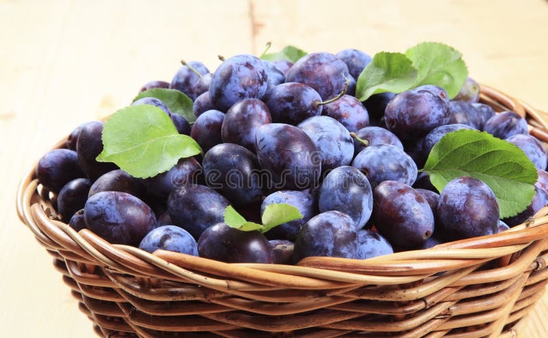 Plums stock photo. Image of white, fruit, prunus, nutritious - 2629838