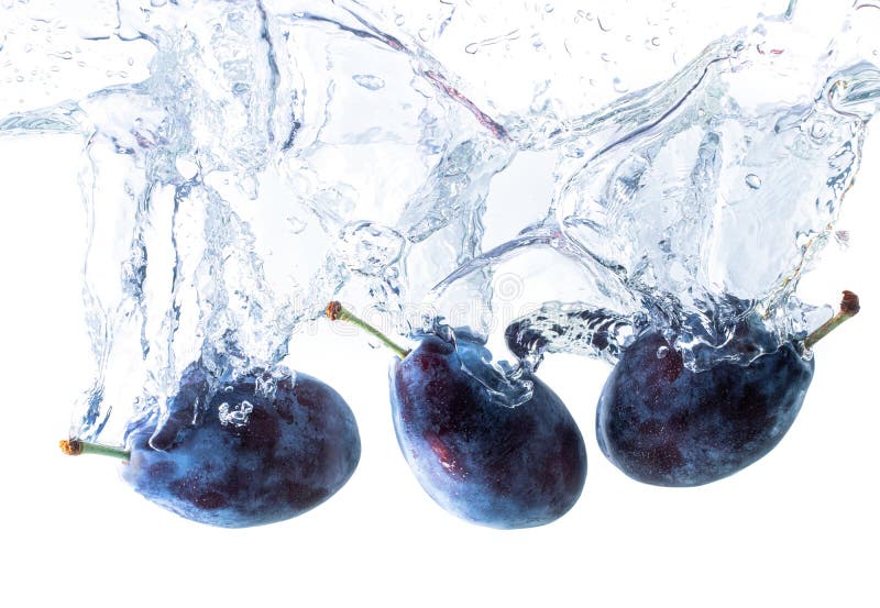 Damson Plums Dropped in Water with Splashes Stock Photo - Image of blue ...