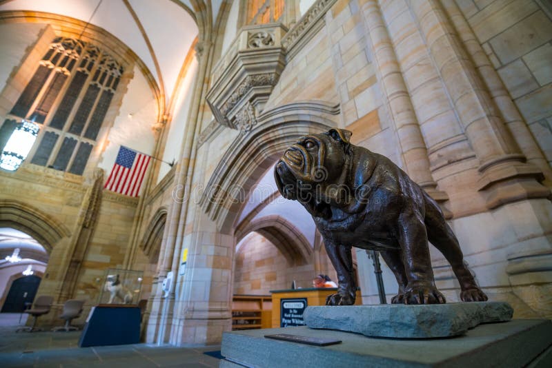 Dan Bello Di Yale University Fotografia Editoriale - Immagine di ...