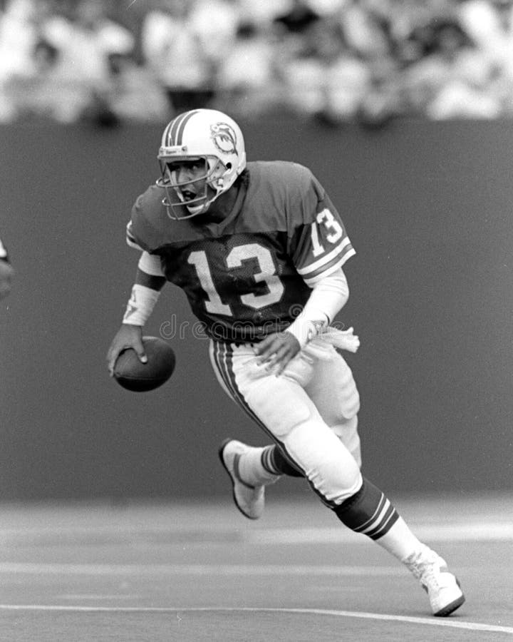 Dan Marino editorial stock photo. Image of marino, dolphins - 78434503
