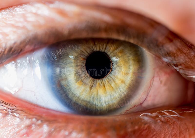 Close Up Eye. Close Up Iris. Very Close Macro Shot of an Eyeball. Pale ...