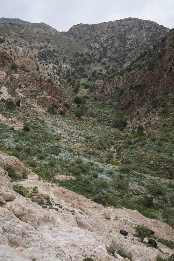 Dana biosphere reserve stock image. Image of grass, national - 53549773