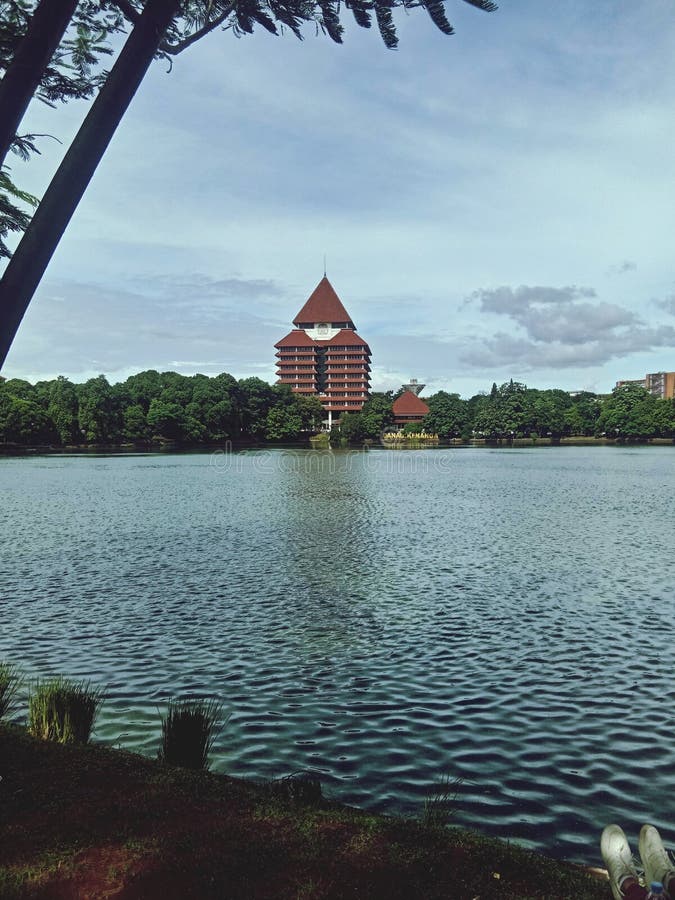 Danau Universitas Indonesia Stock Image - Image of universitas ...
