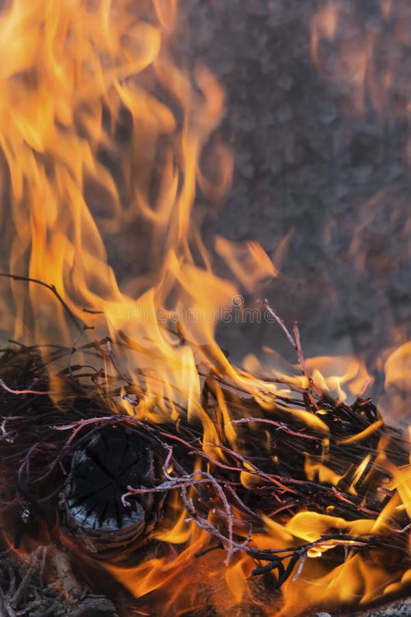286 Fire Ashes Wind Stock Photos - Free & Royalty-Free Stock Photos ...